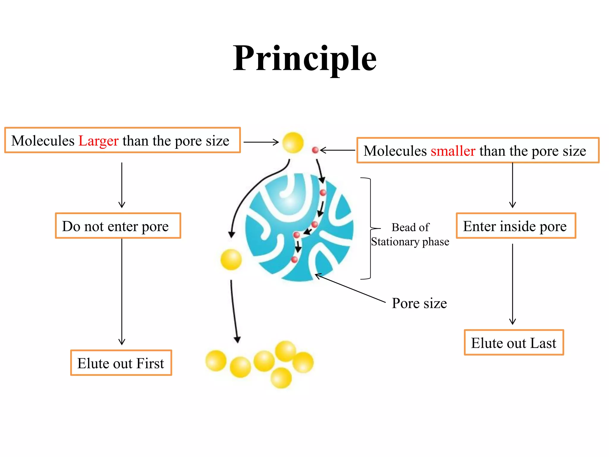 Gel exclusion chromatography | PDF