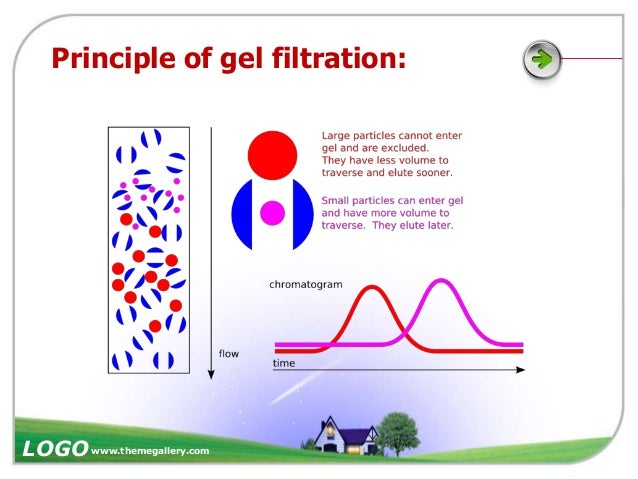 Gel Filtration