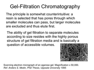 Gel Filtration Chromatography Lecture | PPT
