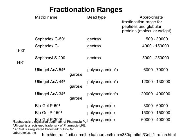 Gel Filtration Chromatography Lecture