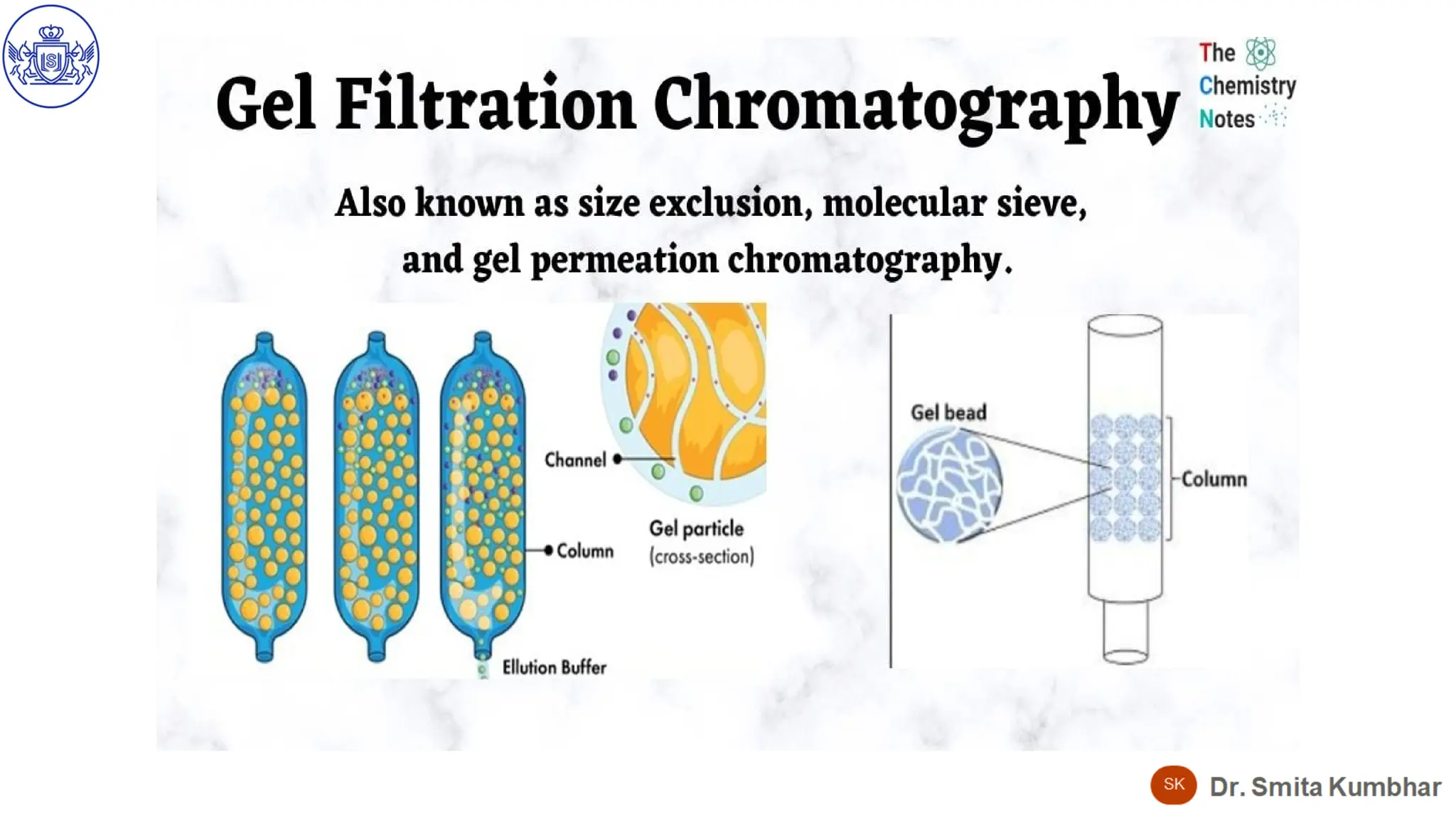 Gel Filtration Chromatography Principles, Stationary Phases, and ...