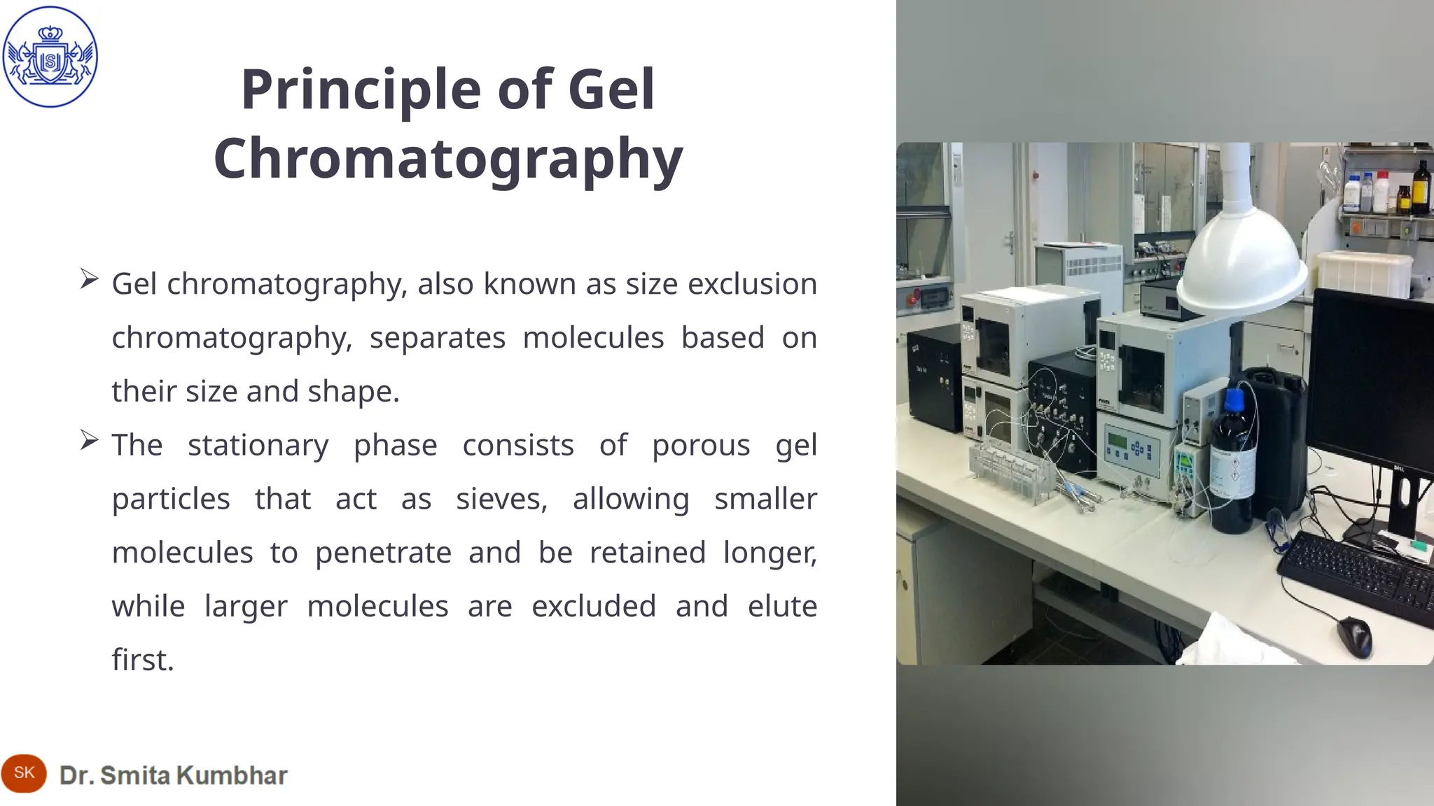 Gel Filtration Chromatography Principles, Stationary Phases, and ...
