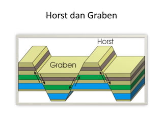 Gelinciran | PPTX