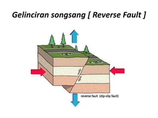 Gelinciran | PPTX