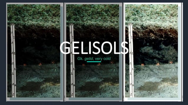 Gelisols.pptx | Geography | Science