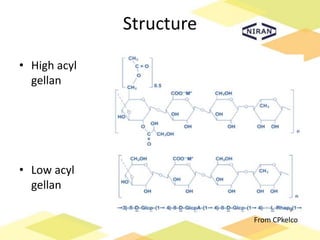 Gellan gum introduction | PPTX