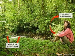 The Global Emergence of Constitutional Environmental Rights | PPTX