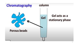 GEL PERMEATİON CHROMATOGRAPHY (GPC).pptx