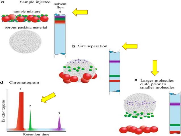 Gel permeation chromatography GPC technique