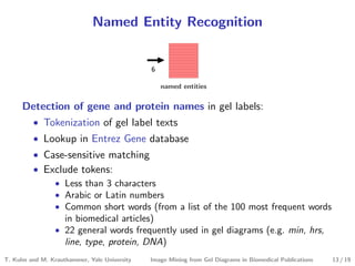 Image Mining from Gel Diagrams in Biomedical Publications | PPT