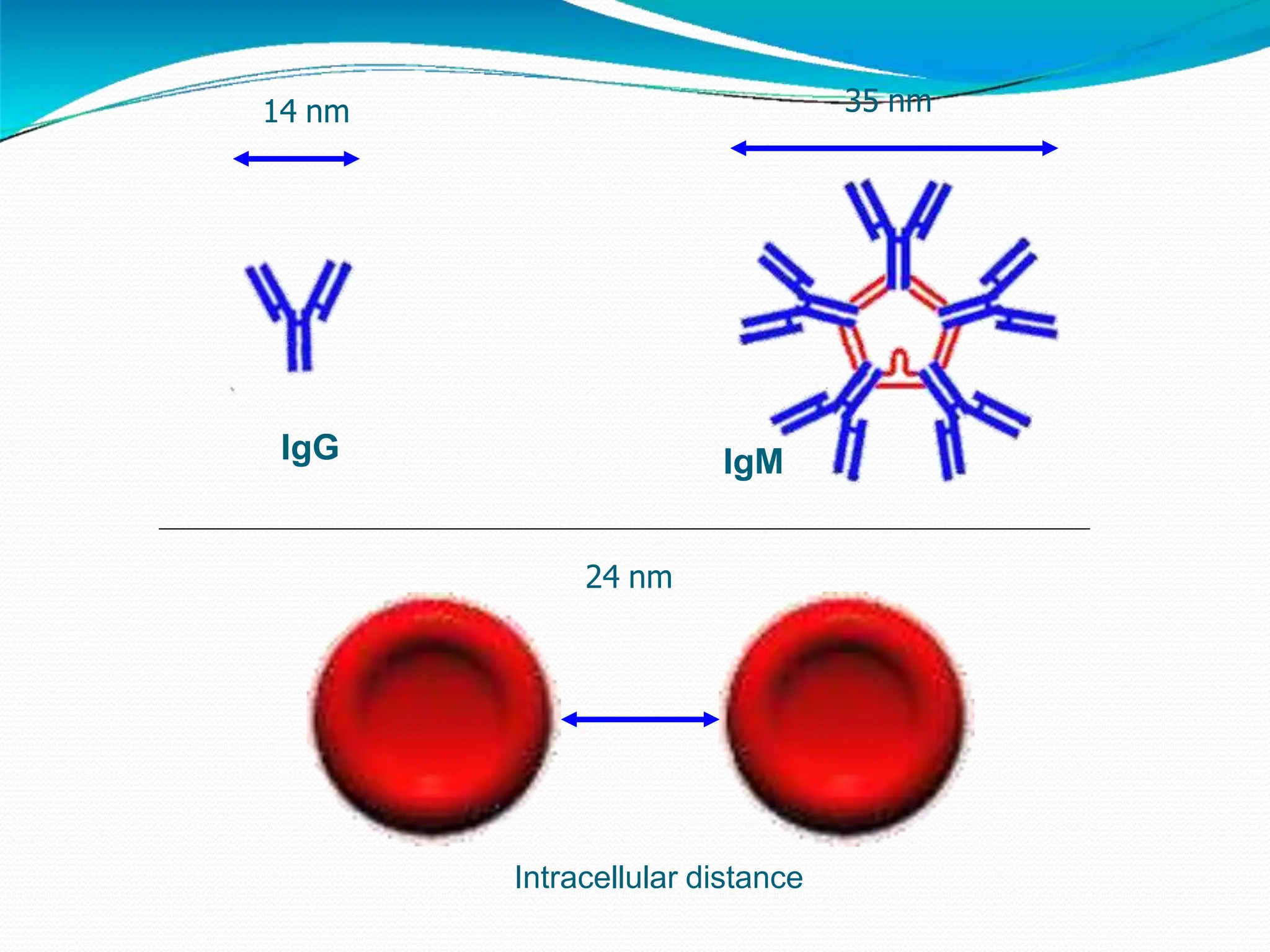 Column agglutination gel techniques.pptx