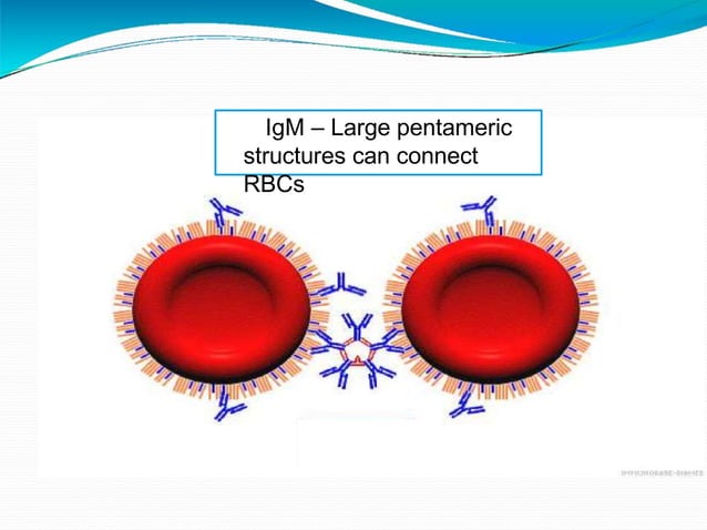 Column agglutination gel techniques.pptx | Blood Disorders | Diseases ...