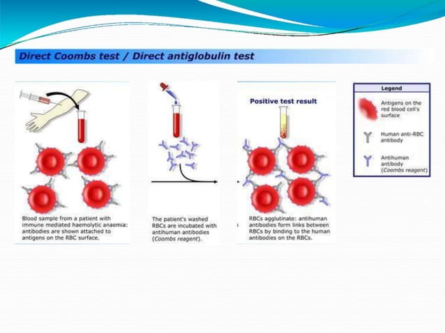 Column agglutination gel techniques.pptx | Blood Disorders | Diseases ...
