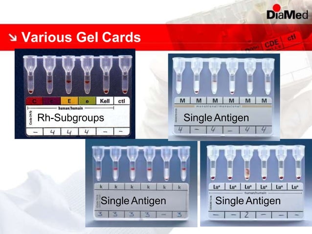 Column agglutination gel techniques.pptx | Blood Disorders | Diseases ...
