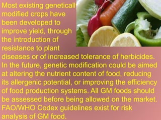 Gem ppt-14-genetically modified foods | PPT