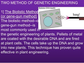 Gem ppt-14-genetically modified foods | PPT