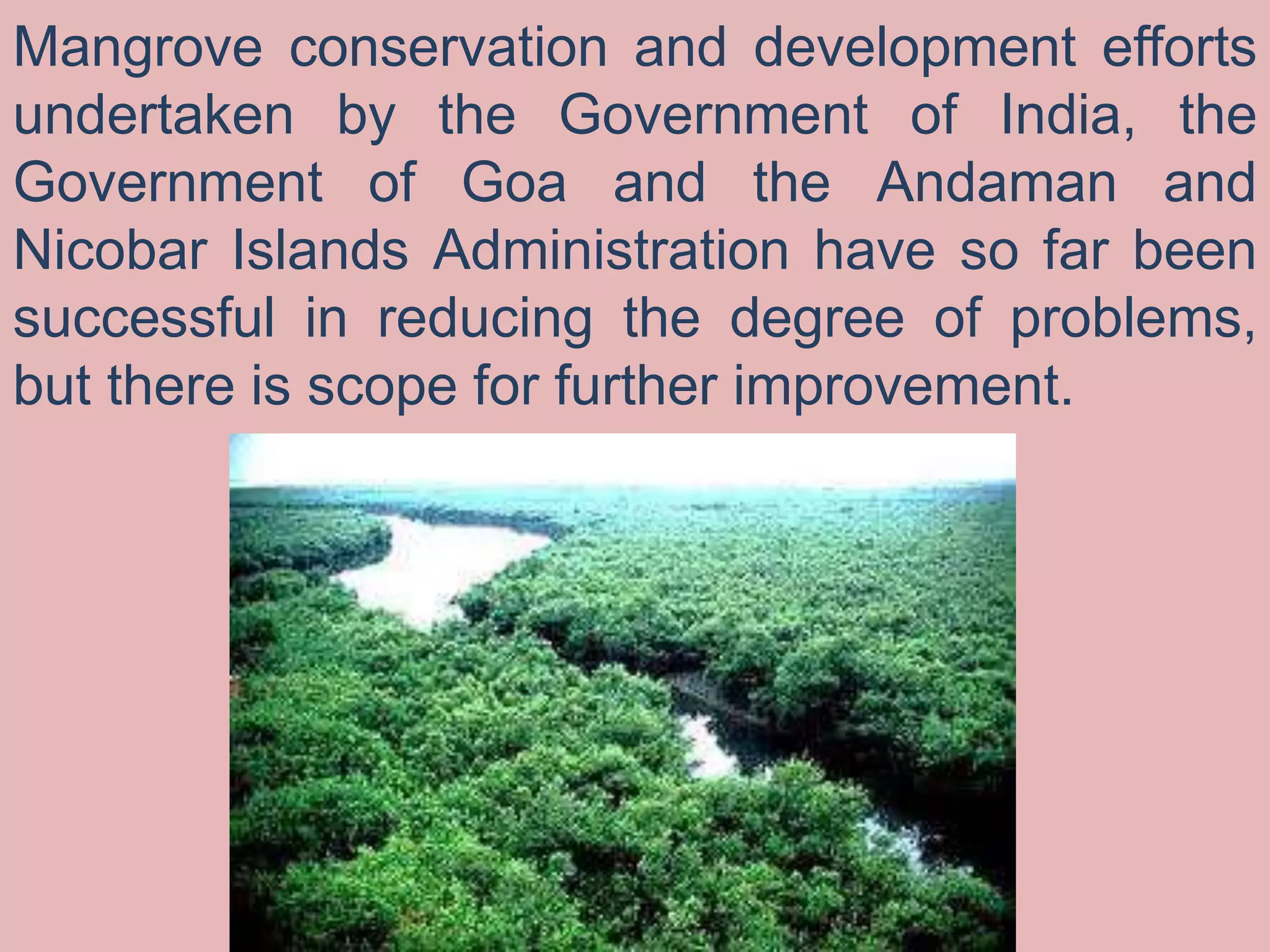 Gem ppt-20-protect mangroves | PPTX