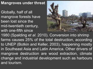 Gem ppt-20-protect mangroves | PPT