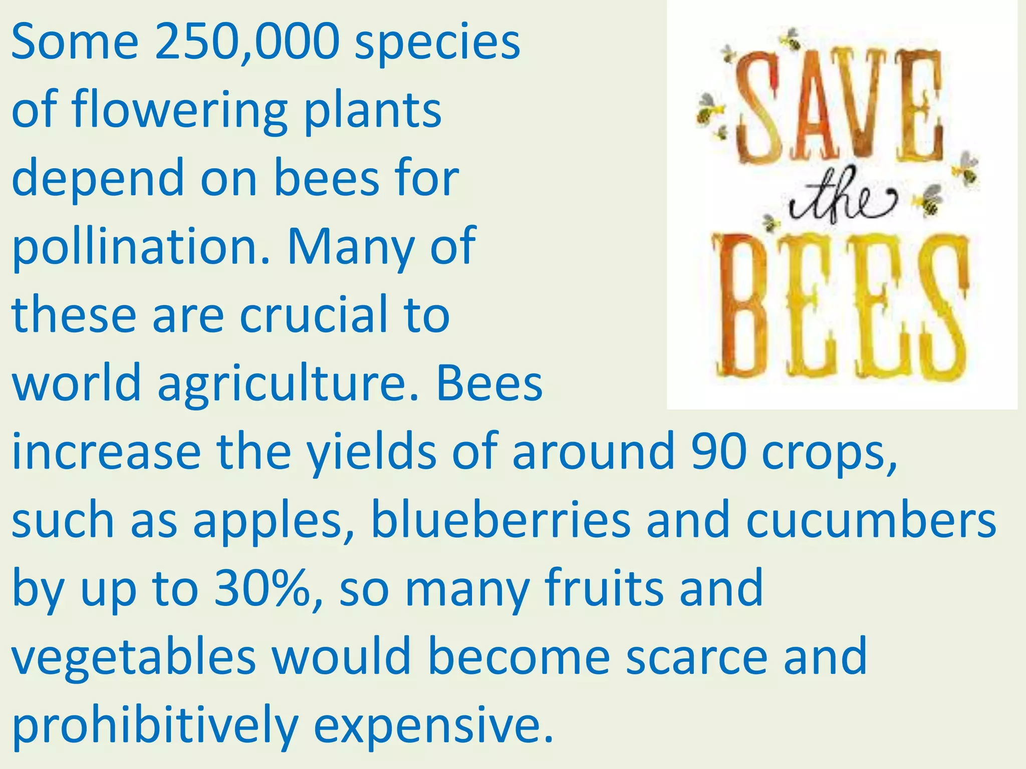 Gem ppt-36-bees and environment | PPTX