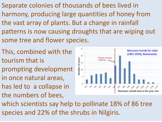 Gem ppt-36-bees and environment | PPTX