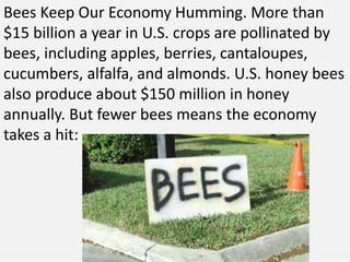 Gem ppt-36-bees and environment | PPTX