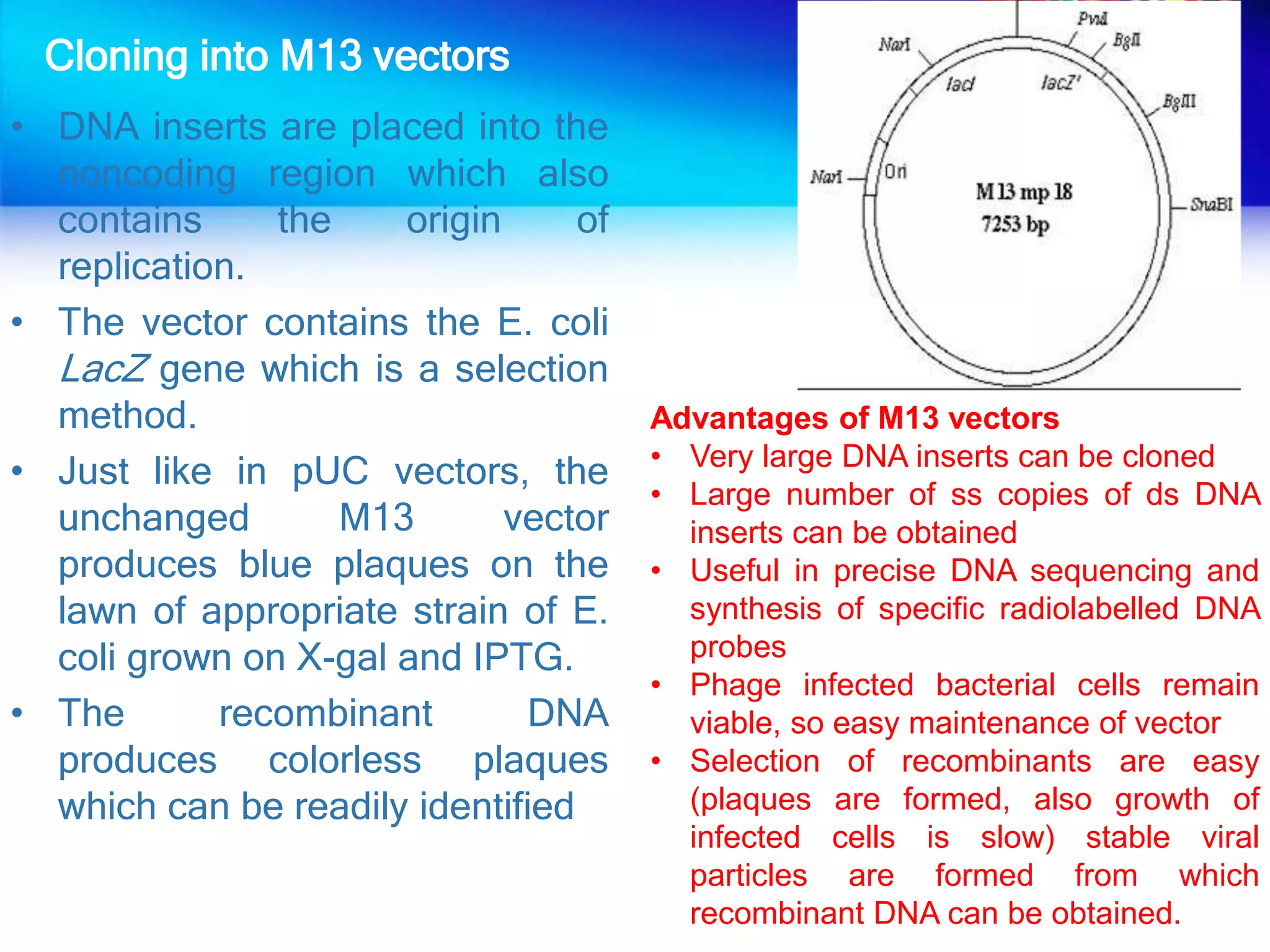 Ge m1 3 types of vectors | PPT