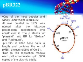 Ge m1 3 types of vectors | PPT