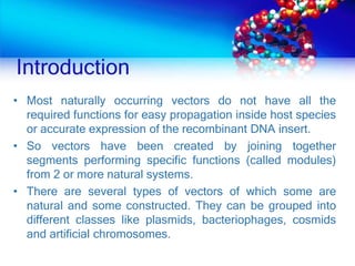 Ge m1 3 types of vectors | PPT