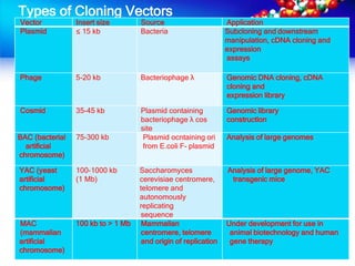 Ge m1 3 types of vectors | PPT