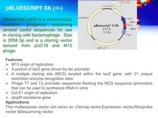 Ge m1 3 types of vectors | PPT