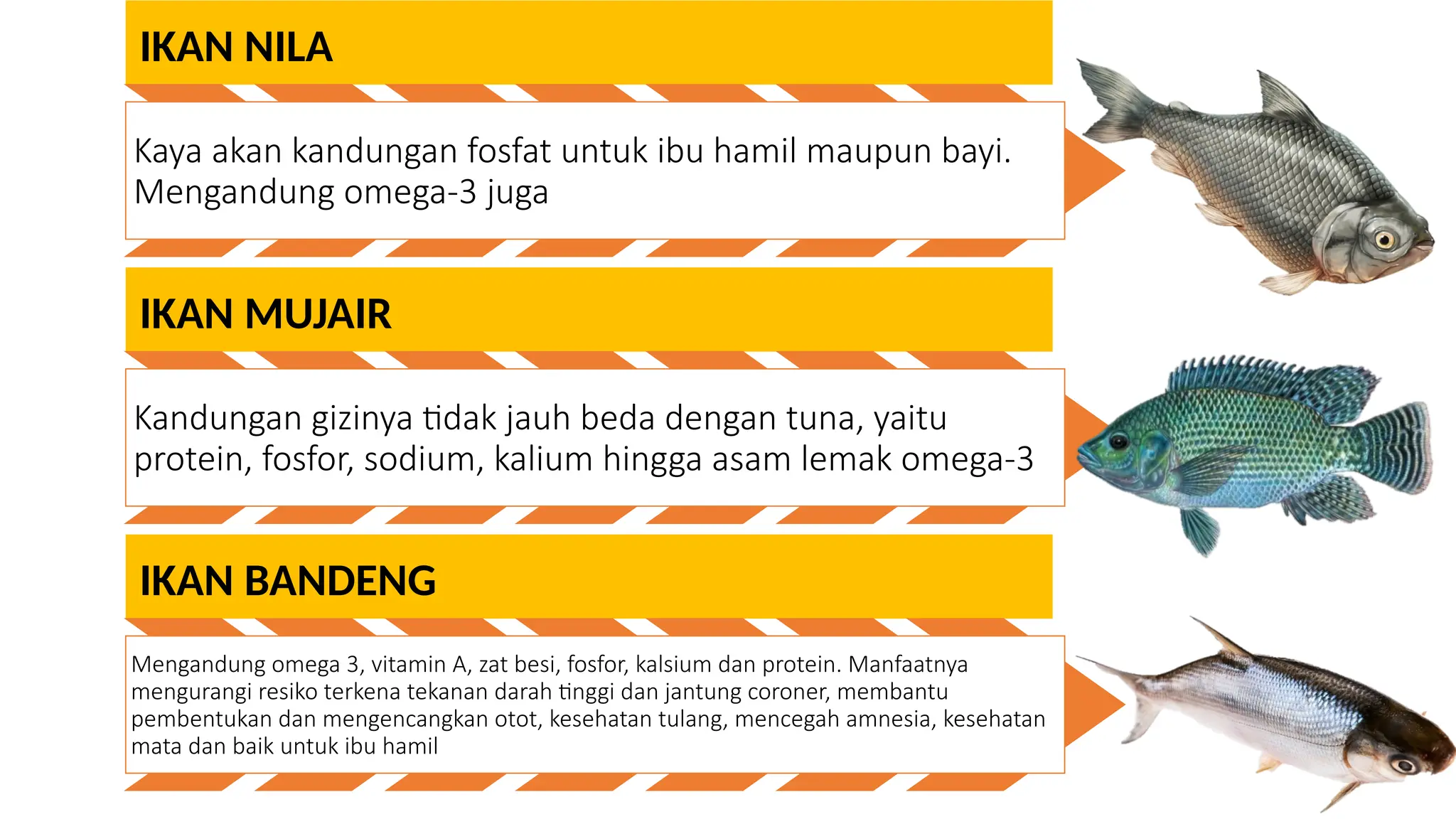 GEMAR-MAKAN-IKAN-Bebas-Stunting-Menuju-Generasi-Emas-Indonesia.pptx
