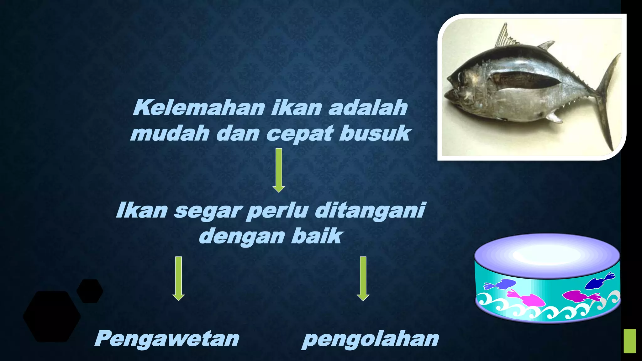 Materi Penyuluhan dan Pelatihan Gemar dan manfaat makan ikan kuma | PPTX