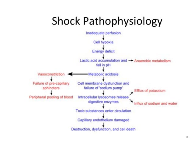 GEMC - Medical Student - Trauma - Shock | PPT