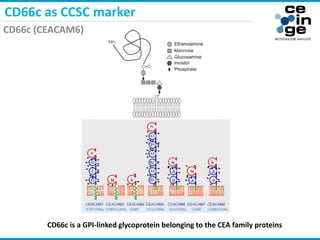 Flow cytometry in translational cancer research: believe in rare! | PPT