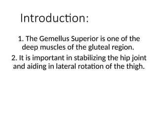 GEMELLUS SUPERIOR-by-VinjarapuDhanaSree BHMS 1st year.pptx