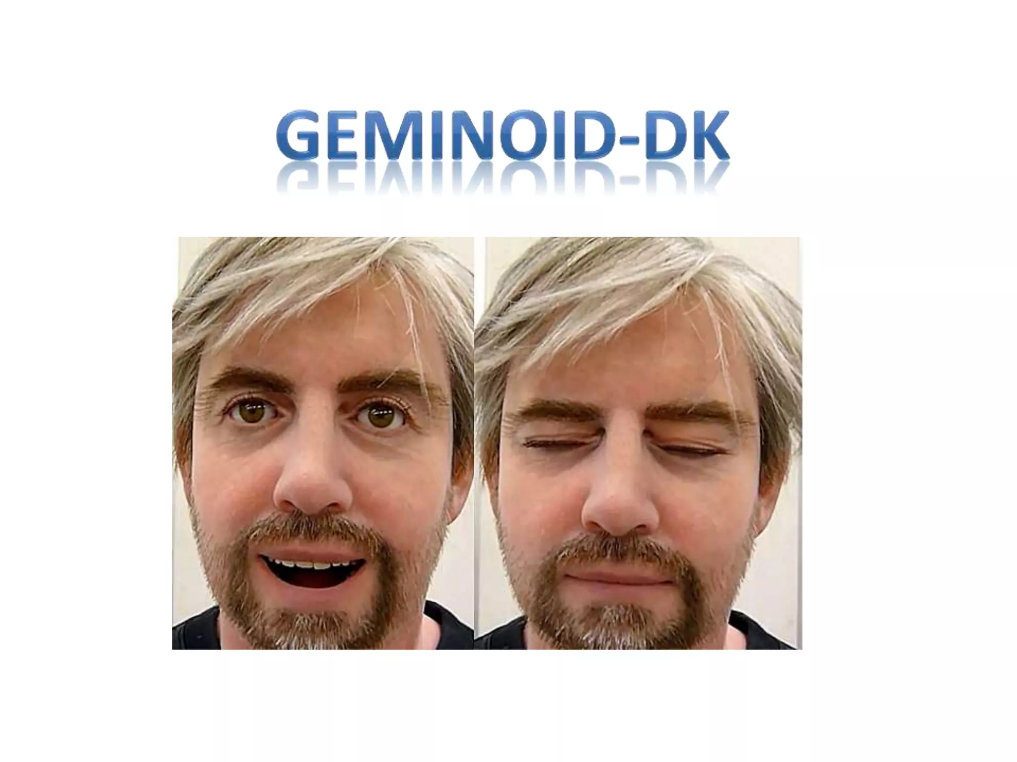 Geminoid - DK | PPTX