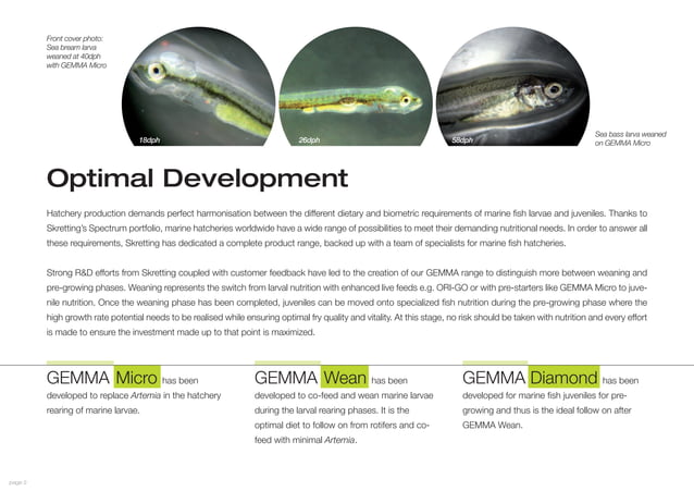 Gemma Diamond - A hatchery feed solution | PPT