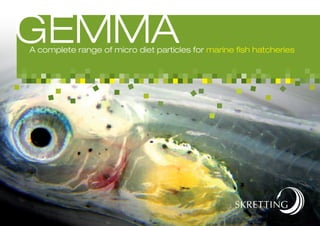 Gemma Micro- A barramundi feed solutions | PDF