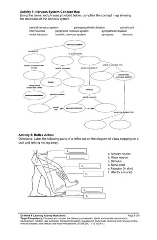 General-Biology-2-LearActWks-Q4-Week-3-4 | PDF