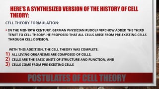 GEN-BIO_CELL-THEORY-FINISH.ppt-GRADES 7-12x | PPTX | Biological ...