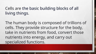 GEN-BIO_CELL-THEORY-FINISH.ppt-GRADES 7-12x | PPTX | Biological Sciences | Science
