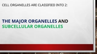 GEN-BIO_CELL-THEORY-FINISH.ppt-GRADES 7-12x | PPTX | Biological Sciences | Science