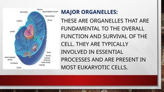 GEN-BIO_CELL-THEORY-FINISH.ppt-GRADES 7-12x | PPTX | Biological ...