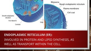 GEN-BIO_CELL-THEORY-FINISH.ppt-GRADES 7-12x | PPTX | Biological ...