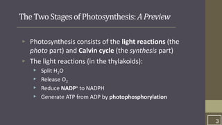 gen-biology-photosythesis.pptx
