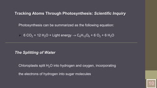 gen-biology-photosythesis.pptx