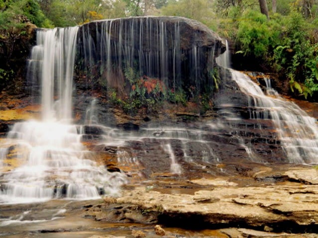 The Genomic Era | PPT | Genetics | Science