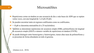 GEN y Marcadores Moleculares (SNP, QTL, QTN, CNV y HAPLOTIPOS).pptx