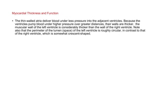 general physiology- the physiology of the heart | PPTX