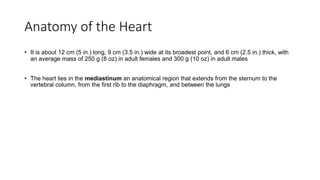 general physiology- the physiology of the heart | PPTX | Heart and ...
